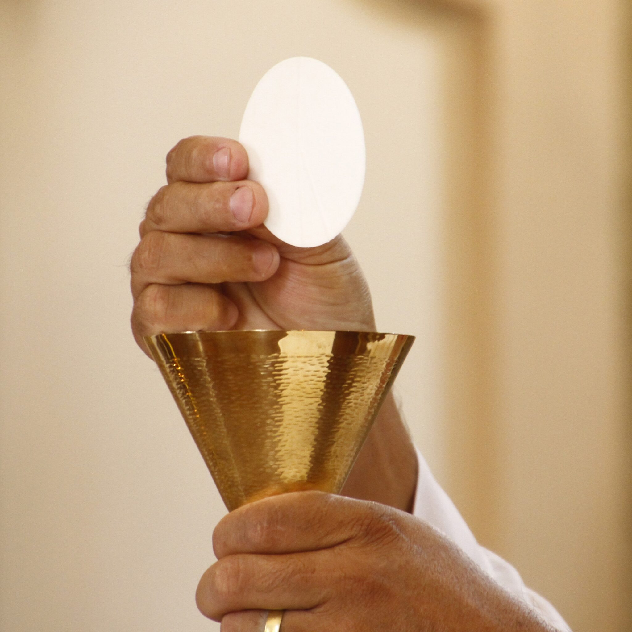 ST. PETER'S ROMAN CATHOLIC CHURCH – Upon this Rock